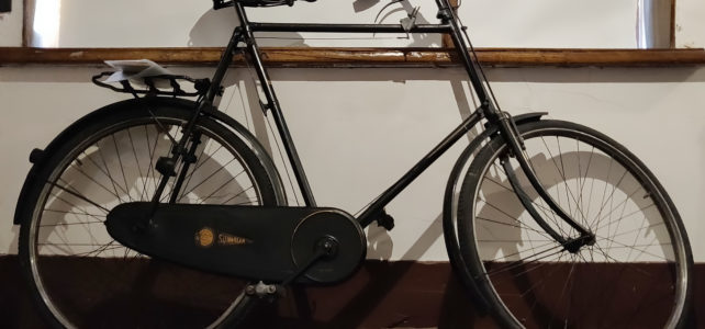 The Day the Mayor Bought a Boneshaker – The Museum of Cambridge