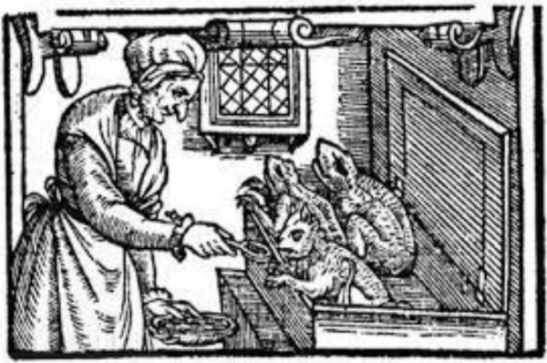 Witches and their Familiars – The Museum of Cambridge