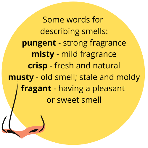 Feeling and Smelling Cambridge – The Museum of Cambridge