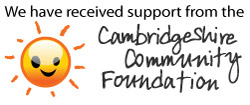 Repairing our roof with the Amey Community Fund – The Museum of Cambridge