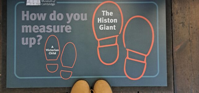 Childhood and Community: Then and Now – The Museum of Cambridge