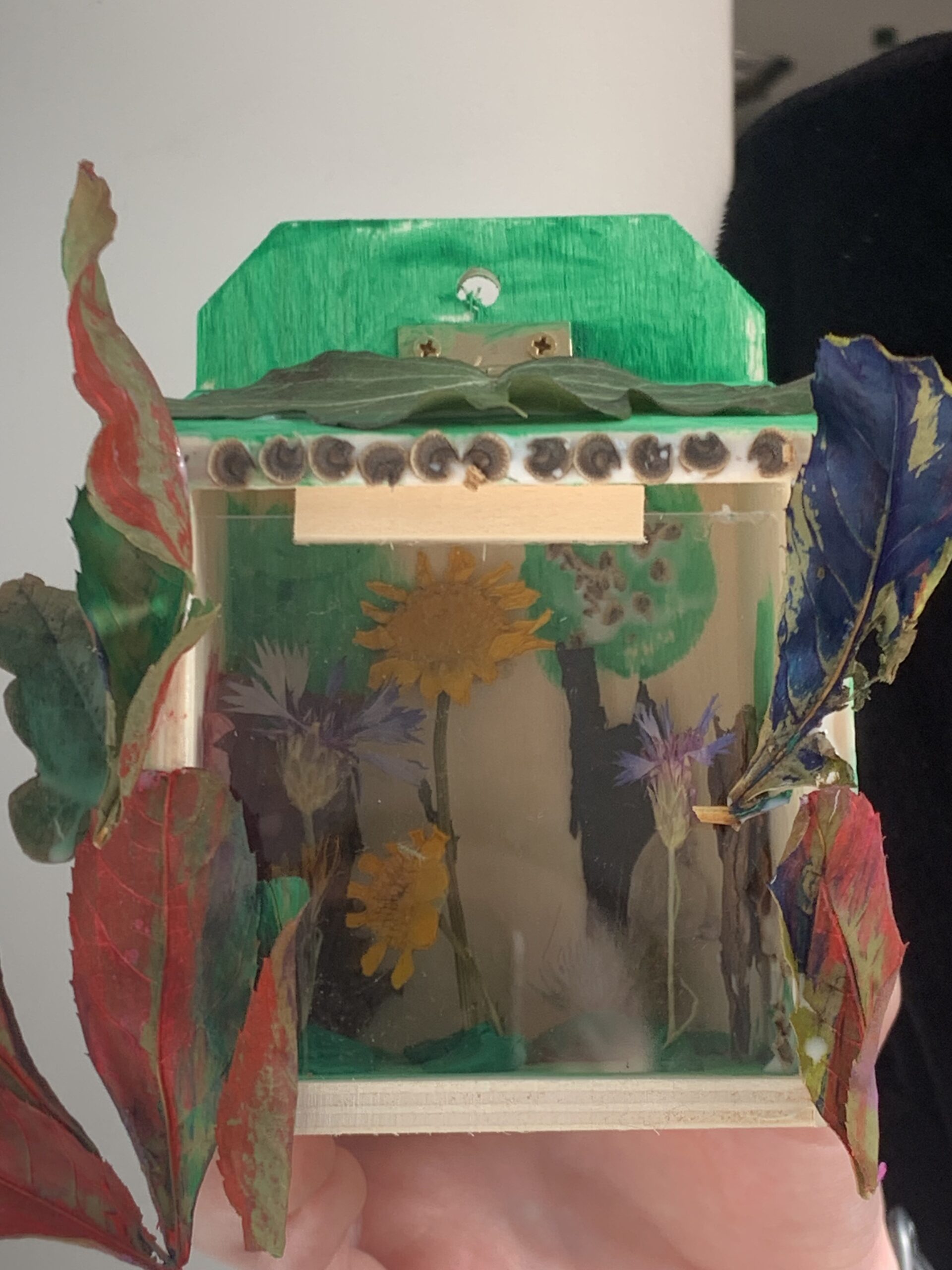 My Mini Museum Gallery – The Museum of Cambridge